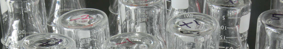 History – The Long-Term Evolution Experiment