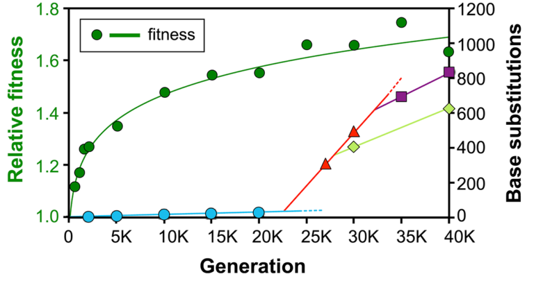 What We’ve Learned about Evolution from the LTEE: Number 5 – The Long ...