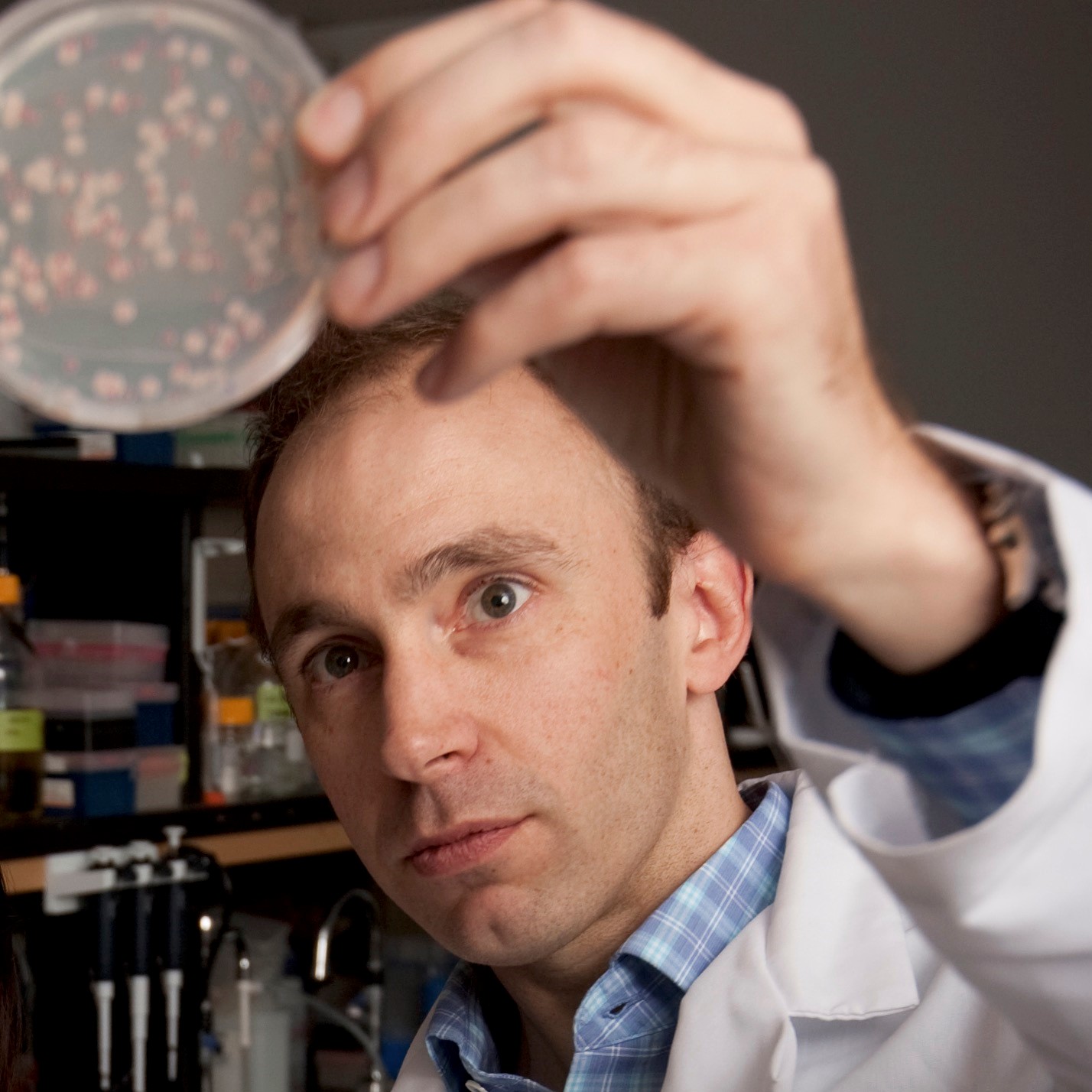 Researchers – The Long-Term Evolution Experiment