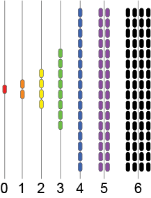 History – The Long-Term Evolution Experiment