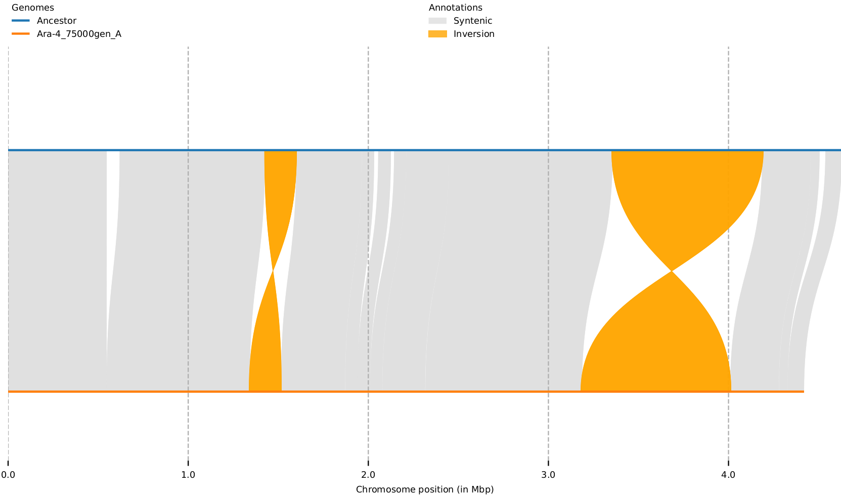 Who Moved My Genes? Analyzing Chromosomal Rearrangements in the LTEE ...