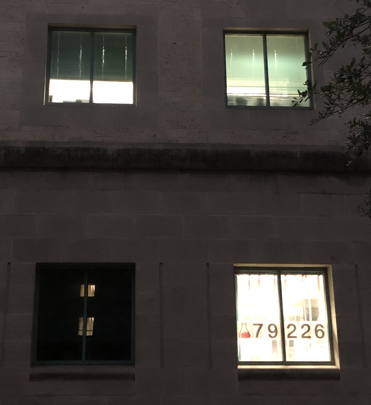 LTEE Eclipsed – The Long-Term Evolution Experiment